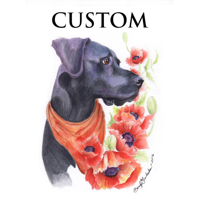 Commission FAQ - Darcy Goedecke