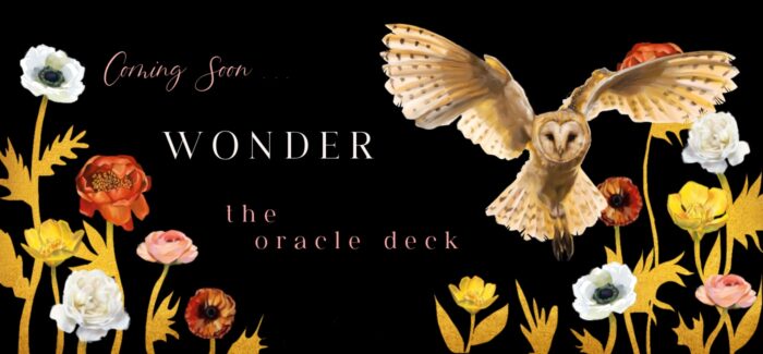 the WONDER Oracle Deck - Darcy Goedecke